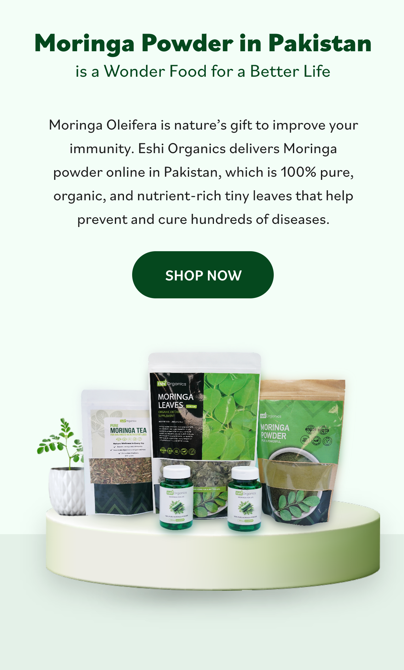 100% Pure Moringa Oleifera - Moringa Powder in Pakistan |Eshi Organics